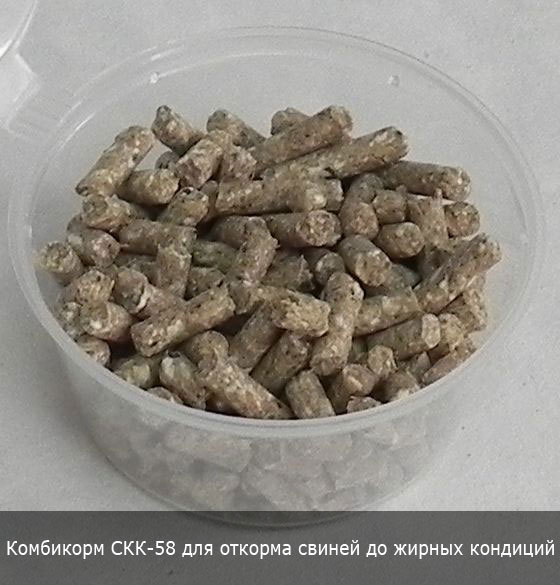 Комбикорм свиной: Состав комбикорма для свиней